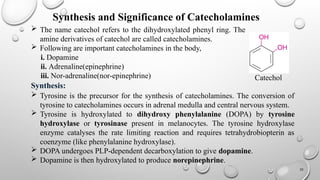 Amino acid metabolism, Urea Cycle, Biochemistry, B.Pharm & D.Pharm | PPTX