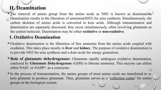 Amino acid metabolism, Urea Cycle, Biochemistry, B.Pharm & D.Pharm | PPTX