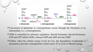 Amino acid metabolism, Urea Cycle, Biochemistry, B.Pharm & D.Pharm | PPTX