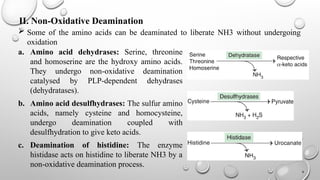 Amino acid metabolism, Urea Cycle, Biochemistry, B.Pharm & D.Pharm | PPTX