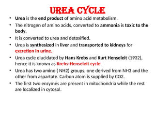 OVERVIEW OF AMINO ACID METABOLISM AND ITS SIGNFICANCE | PPTX