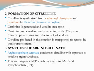 Amino Acid Metabolism and its associated Diseases.pptx