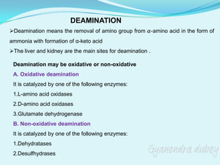 Amino acid metabolism 1.pdf