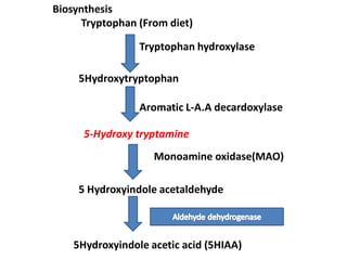 Amino acid metabolism 2 | PPT