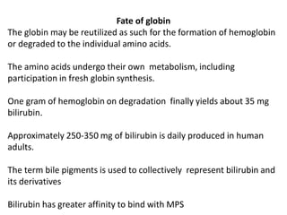Amino acid metabolism 2 | PDF