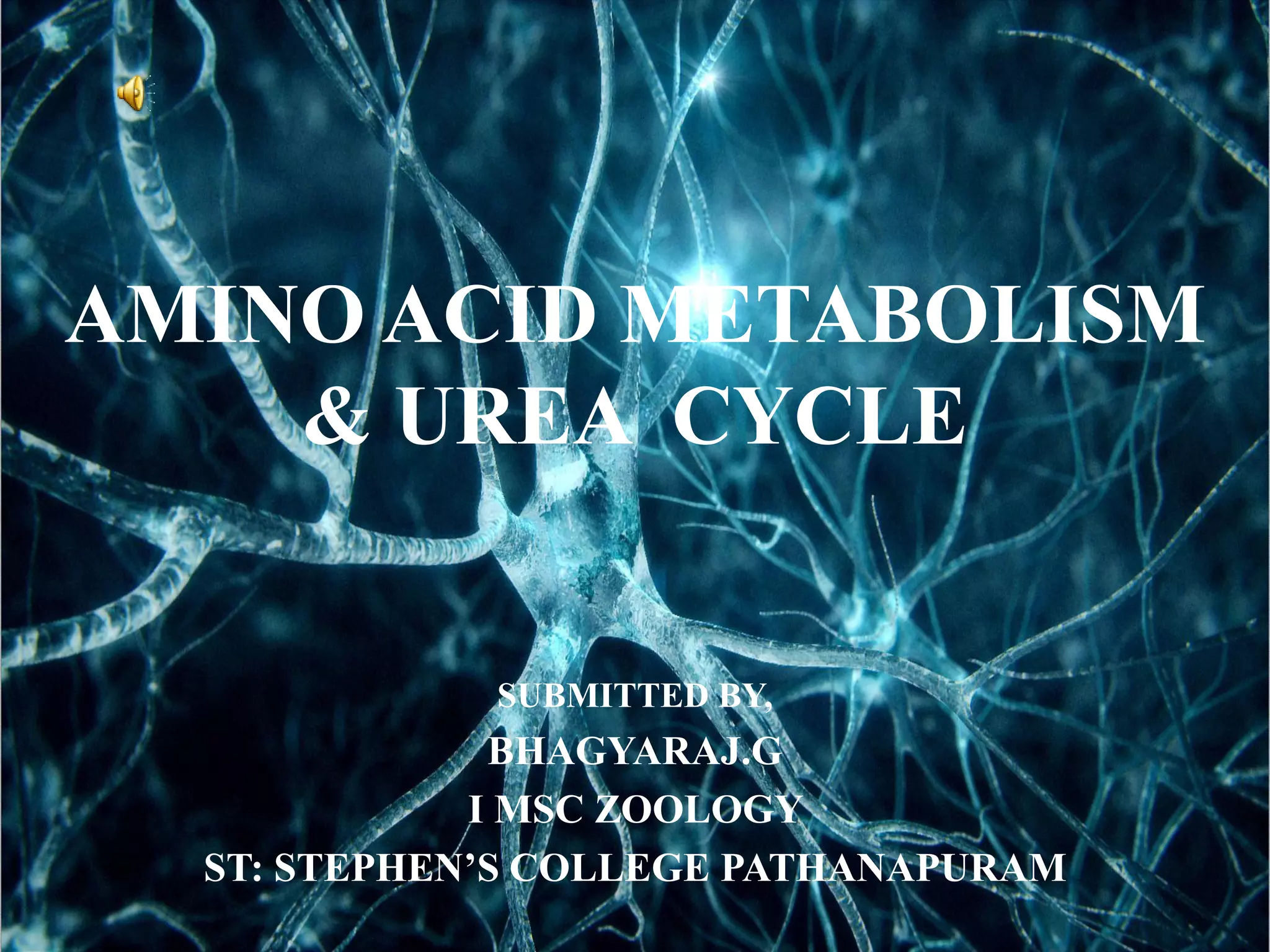 Amino acid metabolism and uea cycle converted | PPT