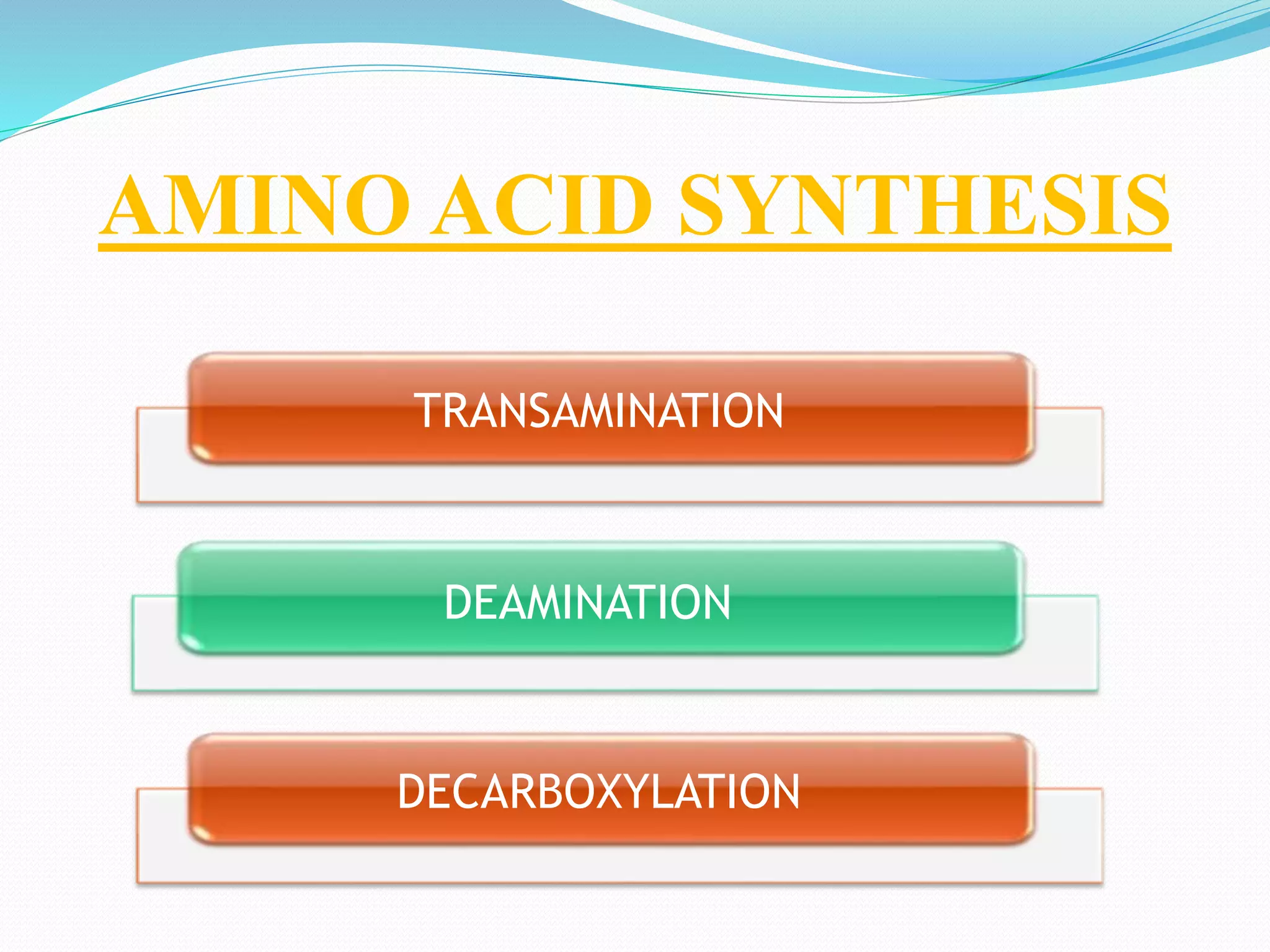 Amino acid metabolism and uea cycle converted | PPT