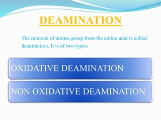 Amino acid metabolism and uea cycle converted | PPT