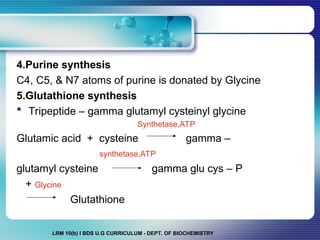 Comprehensive Biochemistry of Amino Acid Metabolism and Related ...