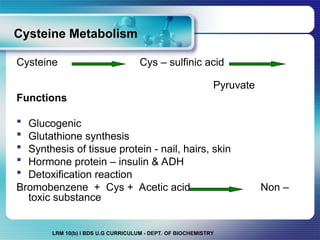 Comprehensive Biochemistry of Amino Acid Metabolism and Related ...