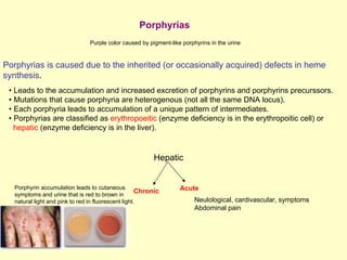 Amino Acid Metabolism II 10-15-08.pdf