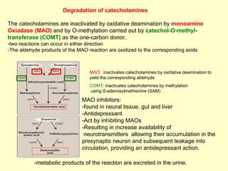 Amino Acid Metabolism II 10-15-08.pdf