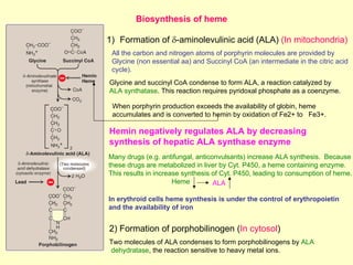 Amino Acid Metabolism II 10-15-08.pdf | Chemistry | Science