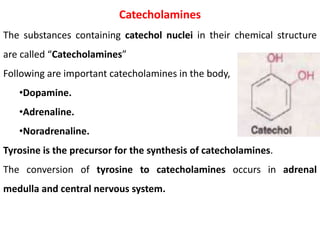 Amino_acid_metabolisnm_3rd_unit[1] by BKG sir.pptx | Chemistry | Science