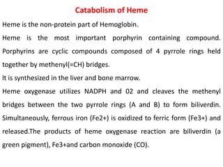 Amino_acid_metabolisnm_3rd_unit[1] by BKG sir.pptx | Chemistry | Science