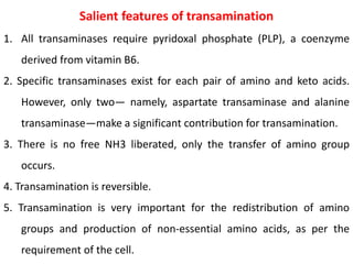 Amino_acid_metabolisnm_3rd_unit[1] by BKG sir.pptx