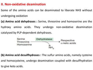 Amino_acid_metabolisnm_3rd_unit[1] by BKG sir.pptx