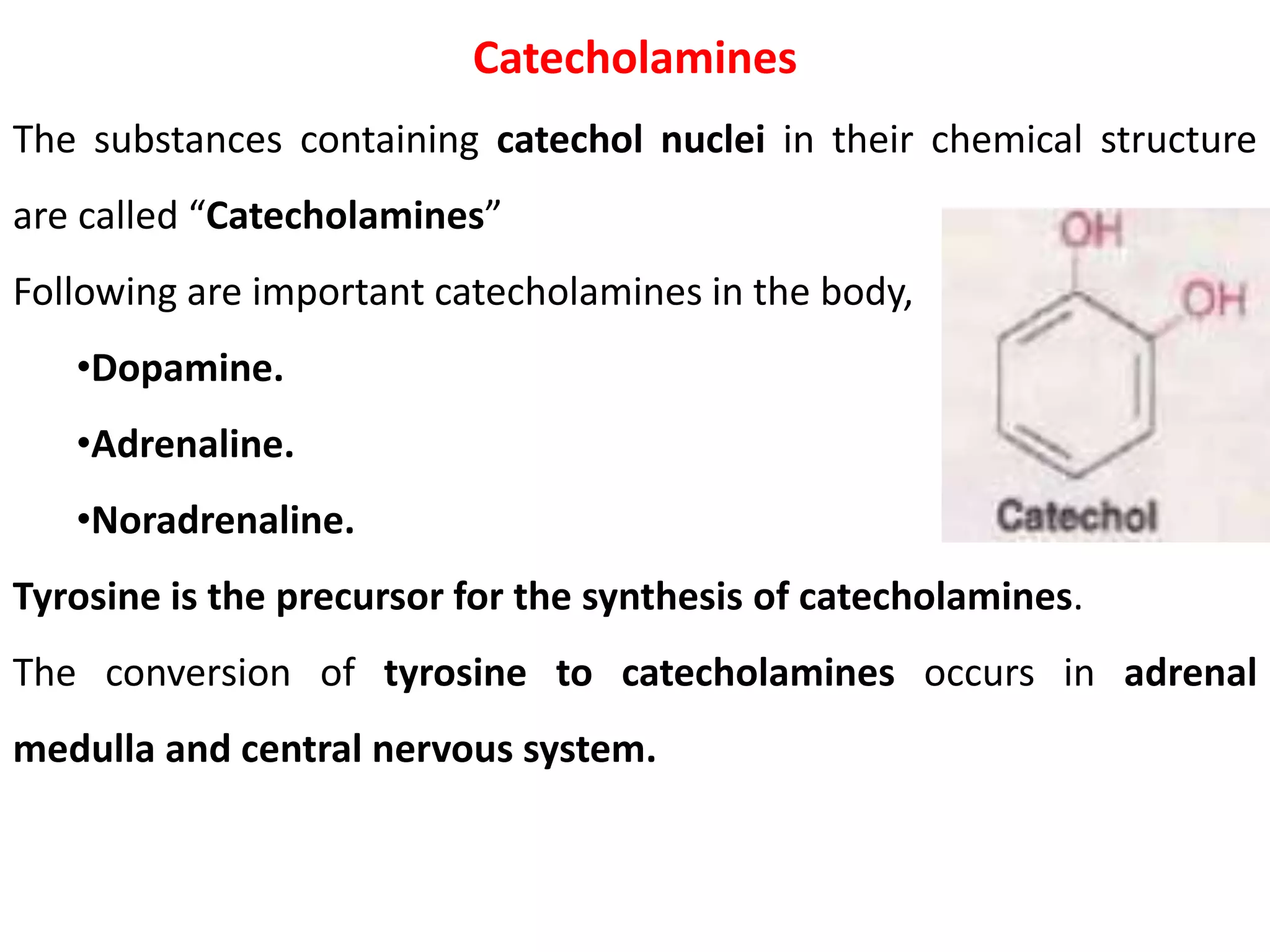 Amino_acid_metabolisnm_3rd_unit[1] by bulet sir.pptx