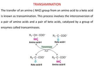 Amino_acid_metabolisnm_3rd_unit[1] by bulet sir.pptx