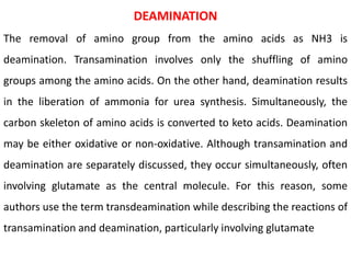 Amino_acid_metabolisnm_3rd_unit[1] by bulet sir.pptx
