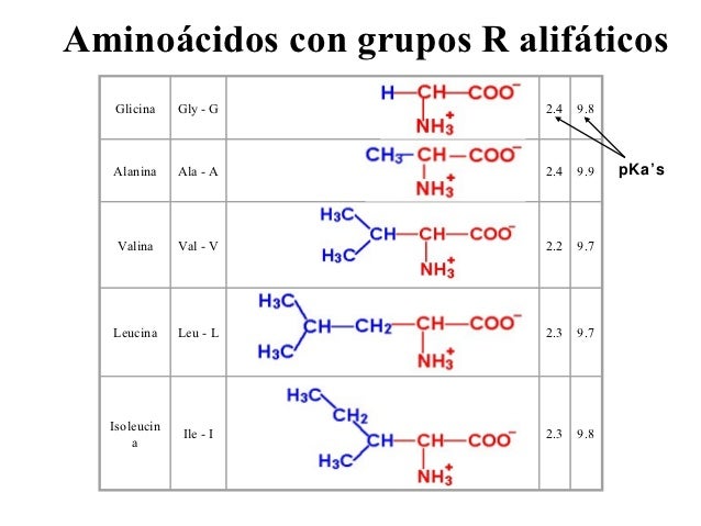 Grupo Amino Ionizado