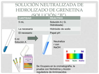 Práctica 6 : Hidrólisis de una proteína y ensayos para proteínas y ...