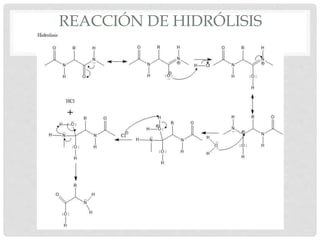 Diagrama De Reacción De Hidrólisis