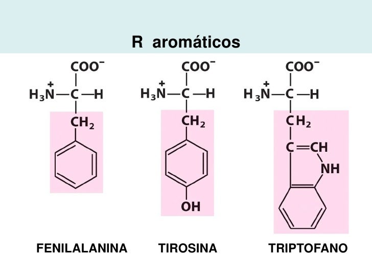 Aminoacidos y proteínas