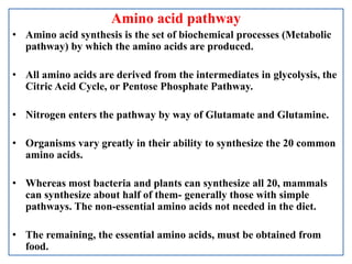 Amino acid pathway | PPTX