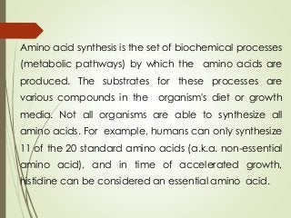 Amino acid pathway | PDF