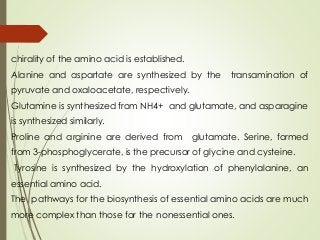 Amino acid pathway | PDF