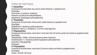 Amino acid -Classification of amino acid, Properties, peptides-Types ...
