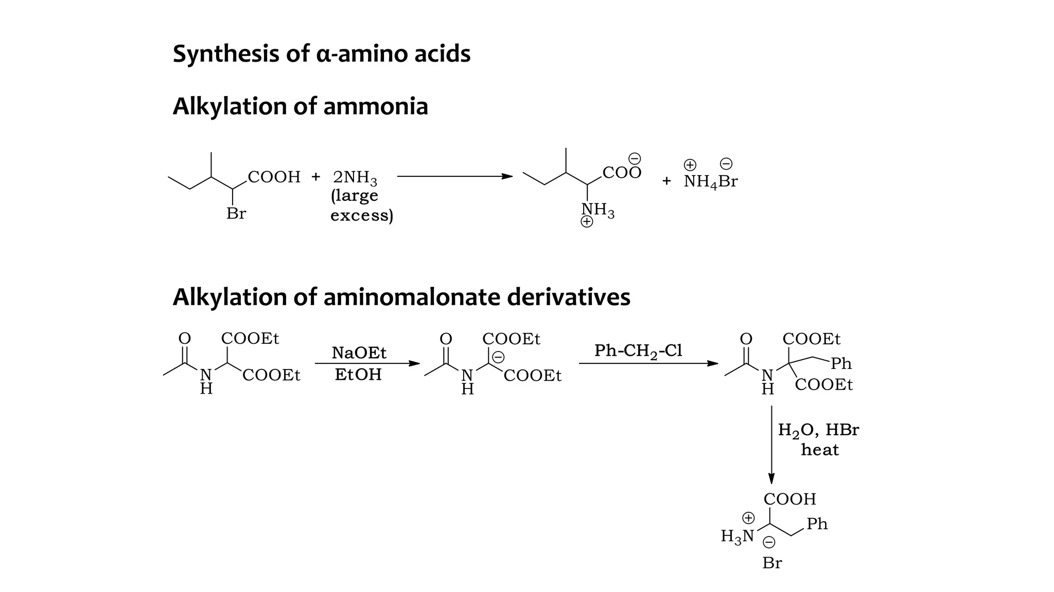 Amino acid, Peptides and Proteins Aug 19.pdf