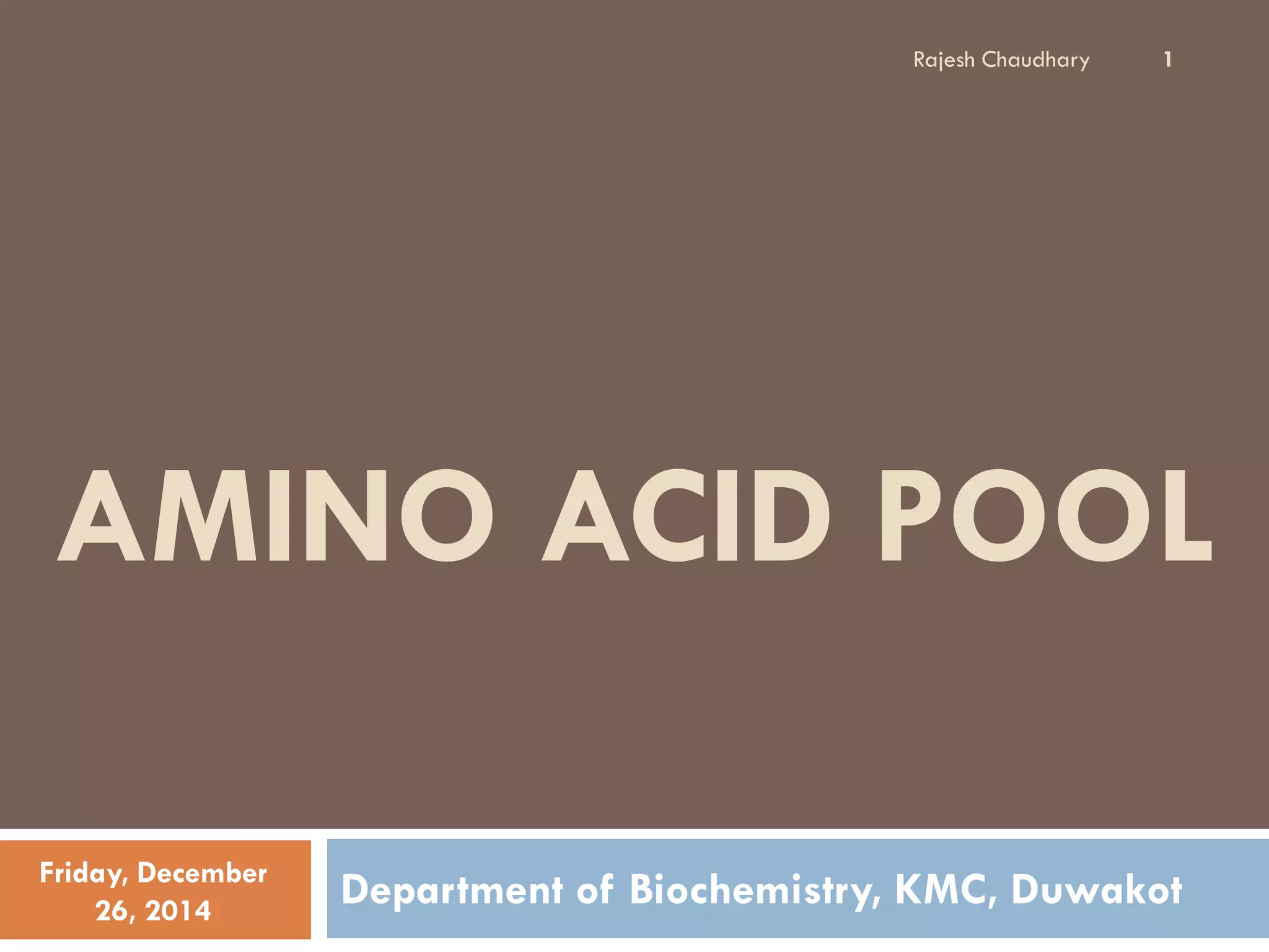 Amino acid pool | PDF