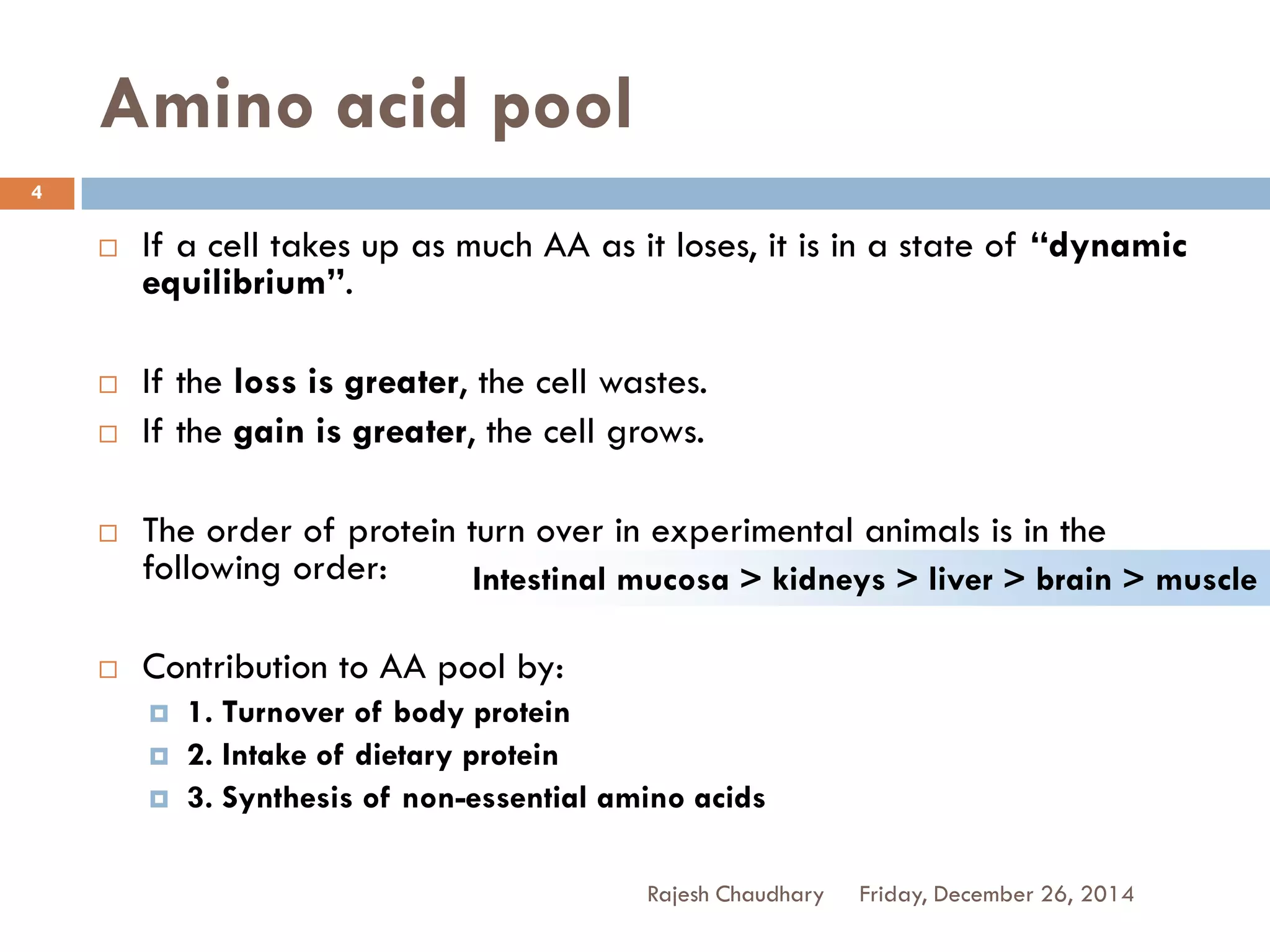 Amino acid pool | PDF
