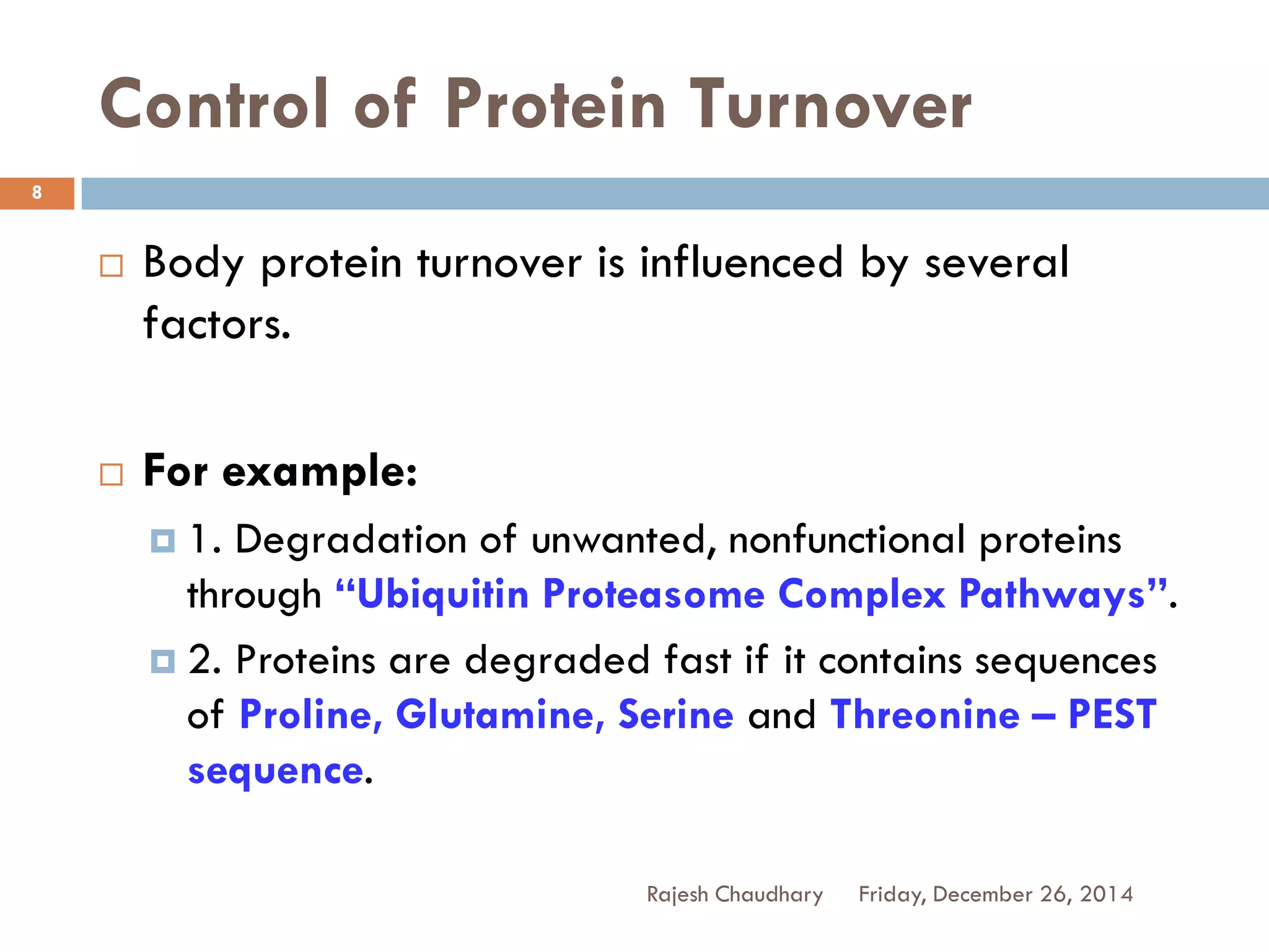 Amino acid pool | PDF