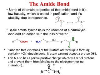 aminoacid notes cell biology botany .ppt