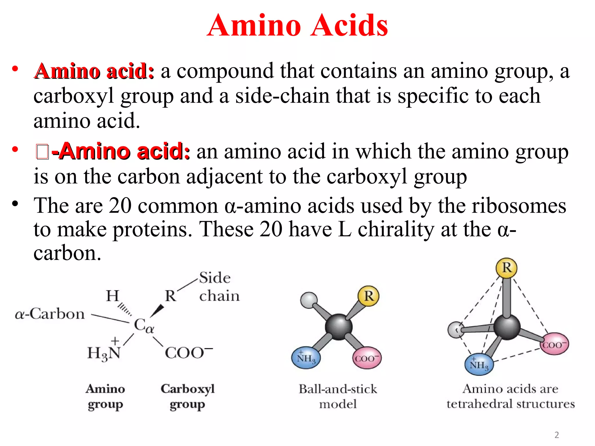 Amino Acid Properties Ppt