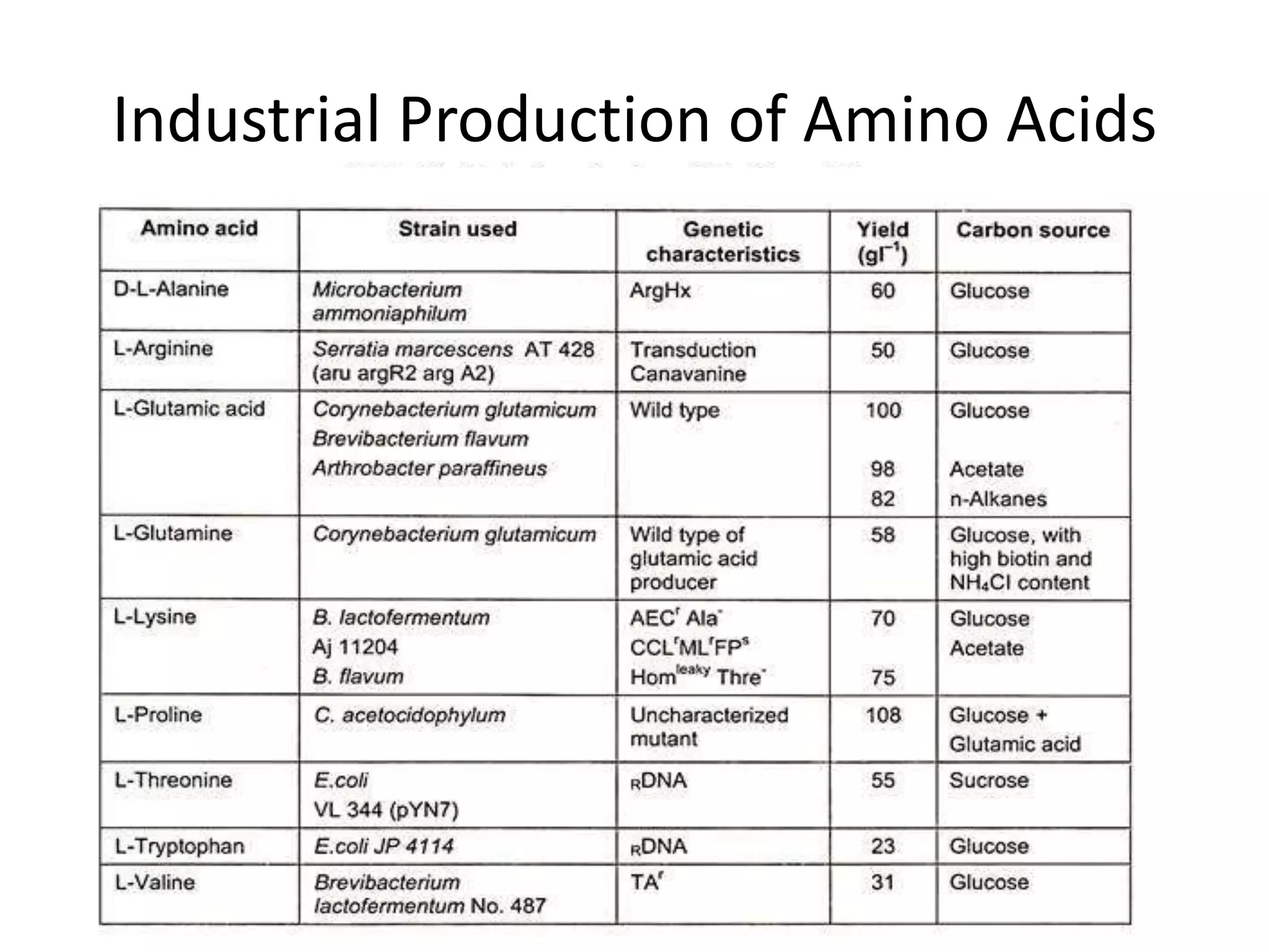 amino Acid production.pptx