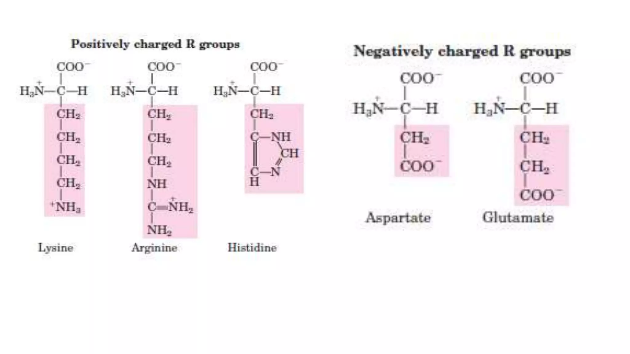 Amino Acids and Protein | PPT