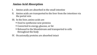Amino Acids and Protein | PDF