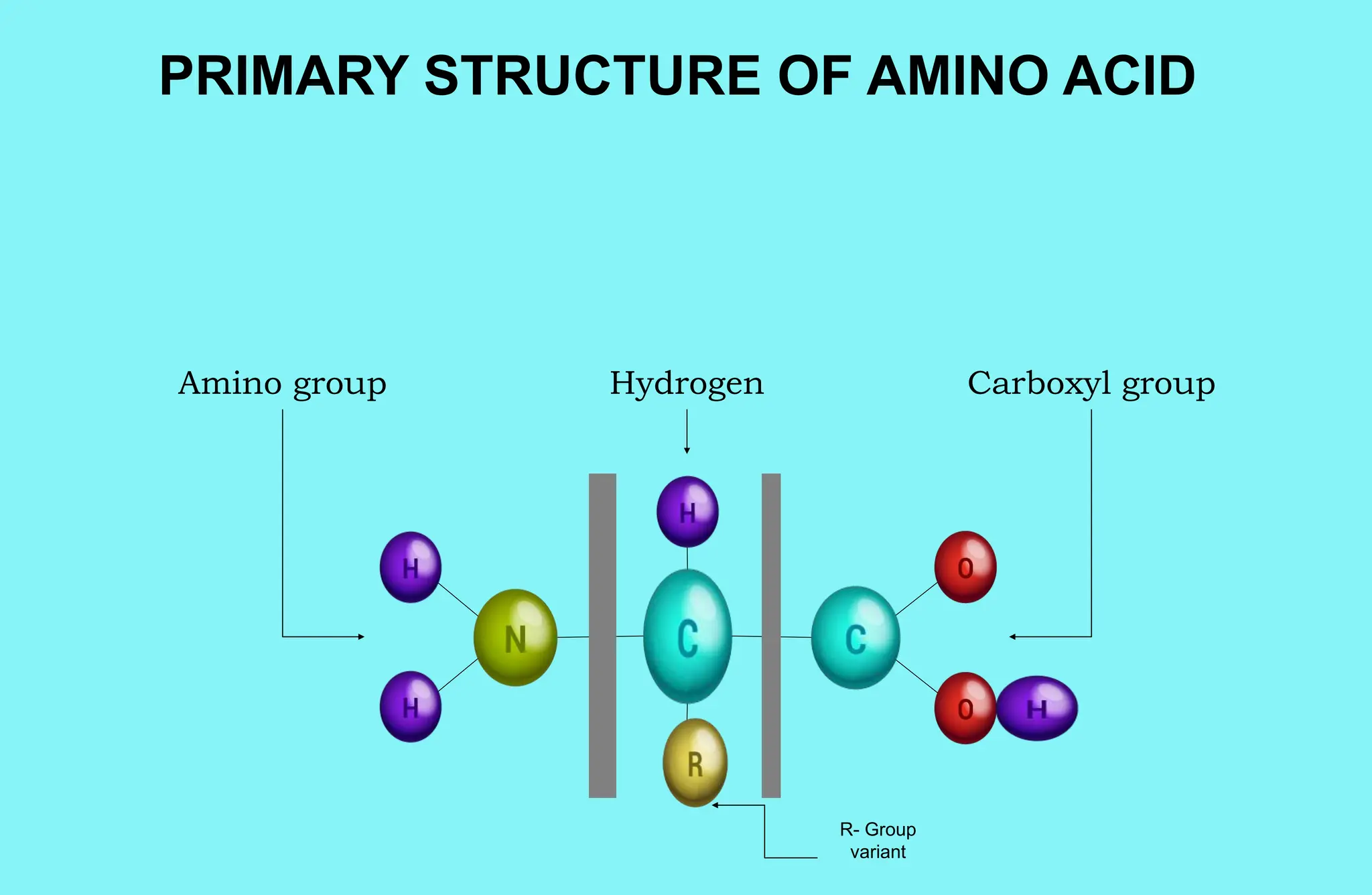 Amino Acid And Protein Chemistrypptx