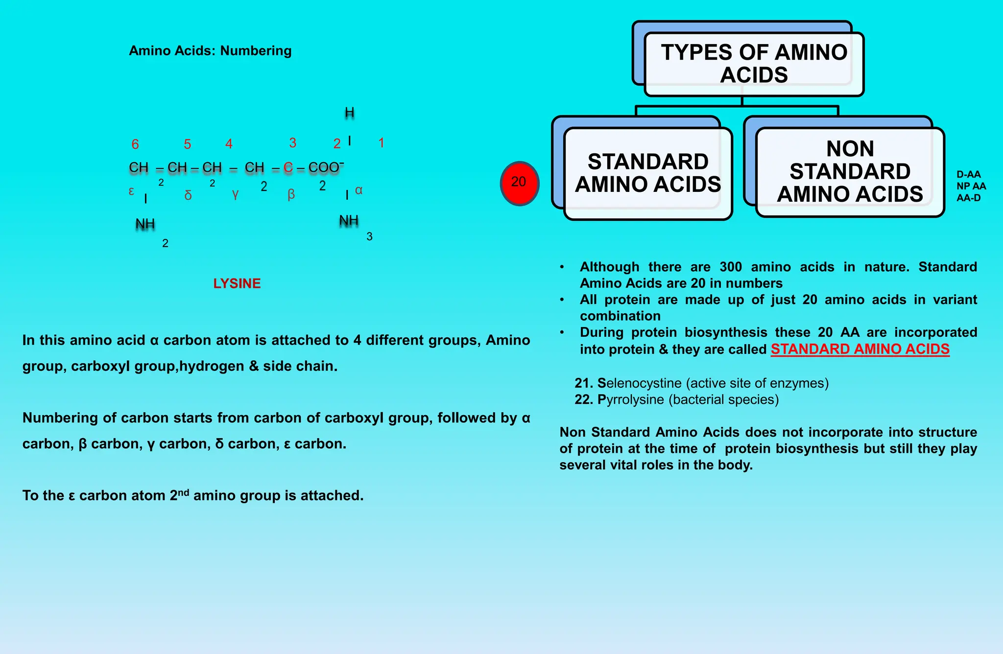 AMINO ACID & PROTEIN CHEMISTRY.pptx