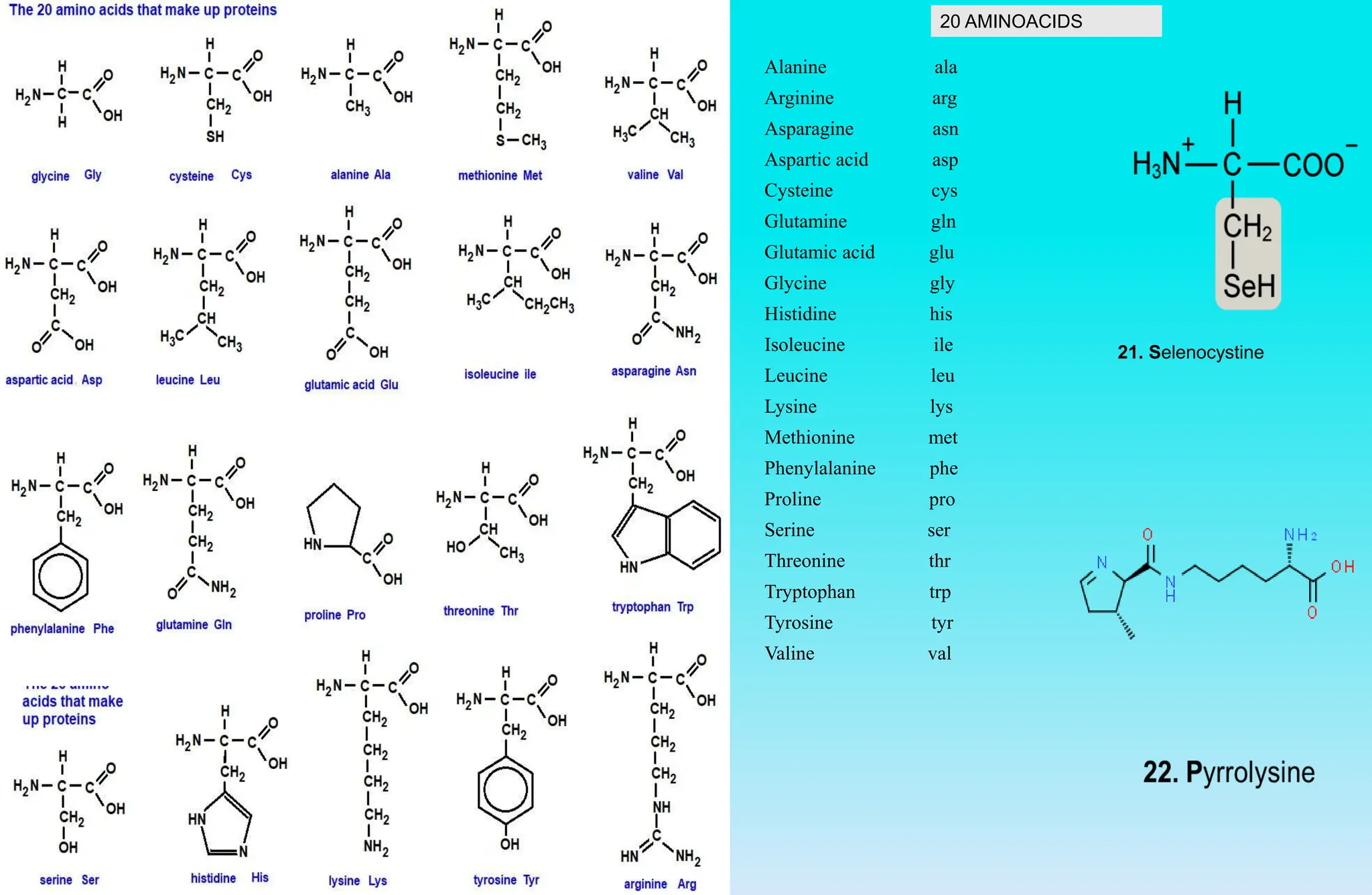 AMINO ACID & PROTEIN CHEMISTRY.pptx