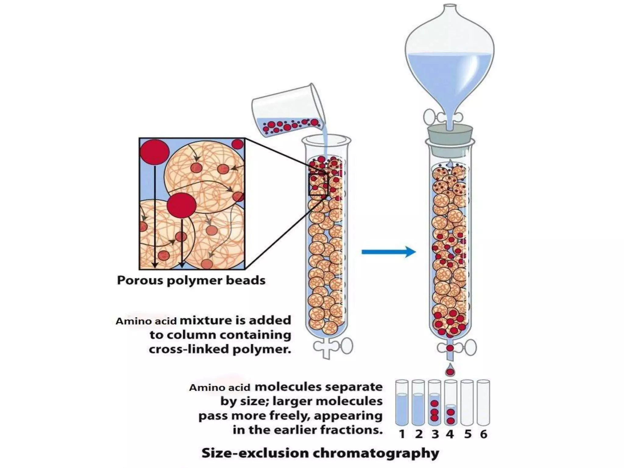 Amino acid purification techniques | PPTX