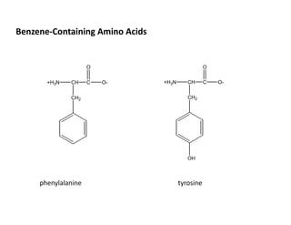 Amino acids | PDF