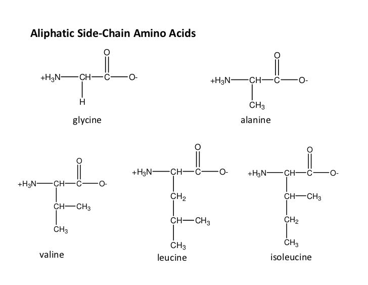 Amino acids