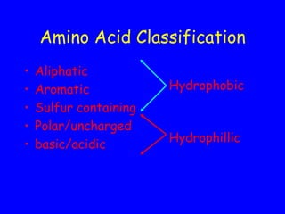 Amino acids | PPT