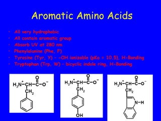 Amino acids | PPT