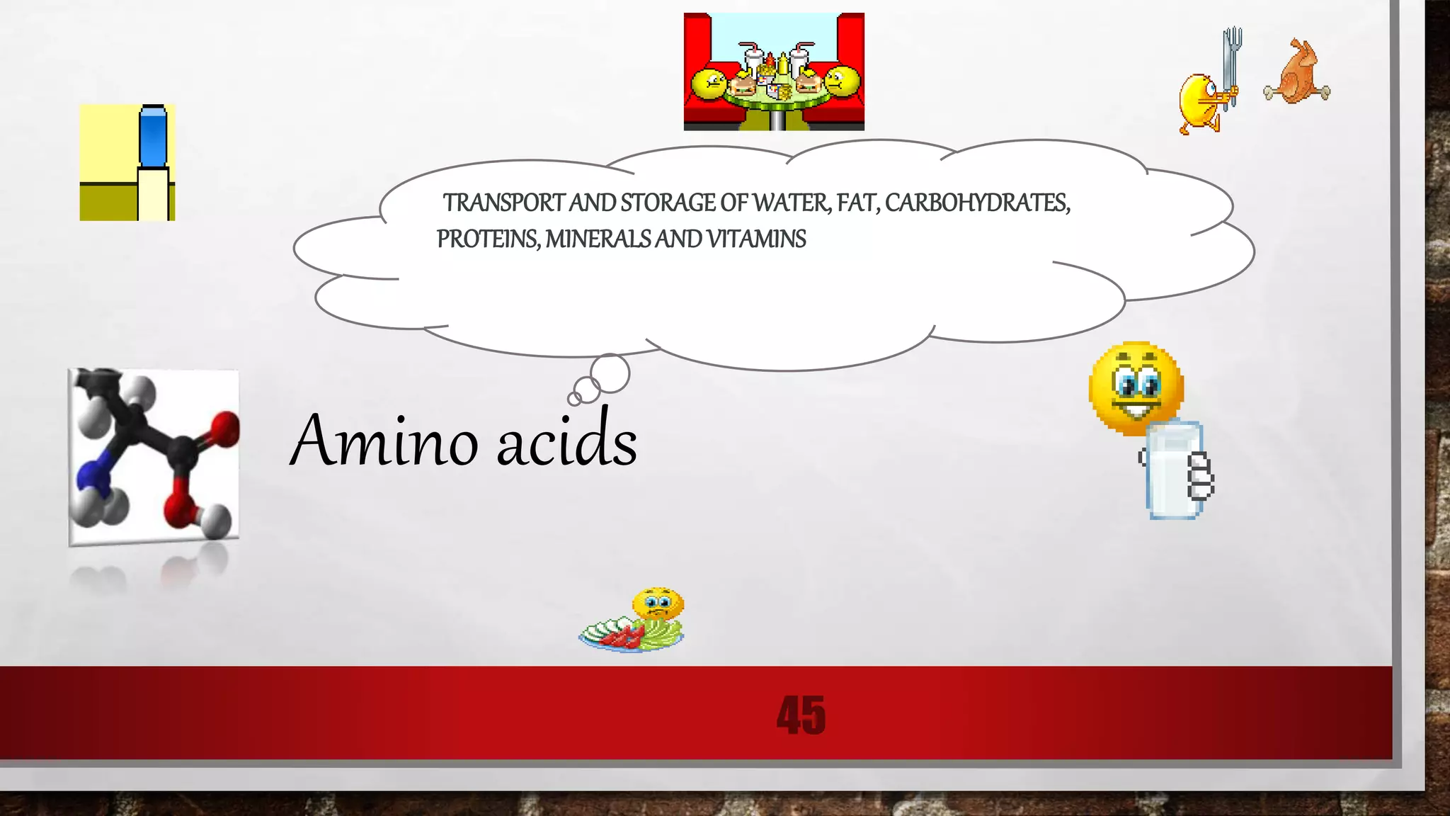 Amino acids | PPTX